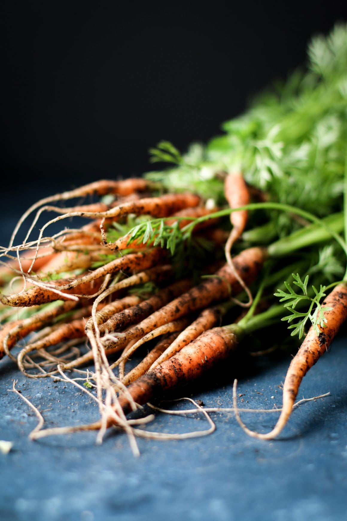 Different Types of Plant-Based Diets - Nourished